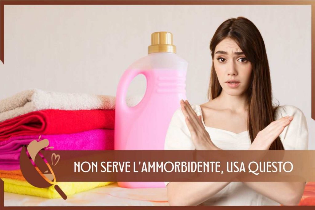 Invece del solito ammorbidente, puoi versare questo nella vaschetta: il risultato é assicurato ...